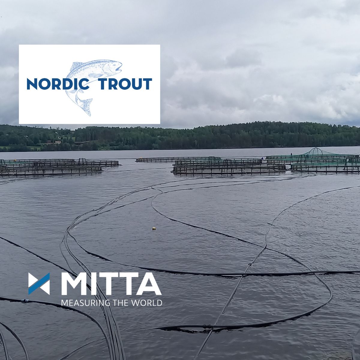 Mitta delivers monitoringstations for Nordic Trout Group | Mitta